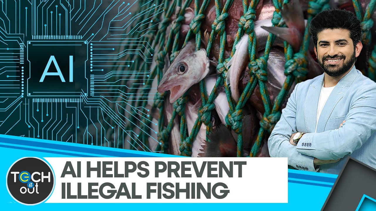 Technology aids in tackling illegal fishing | Tech It Out - YouTube