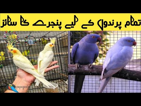 Cage size for all birds || Birds ke lia cage ka sahi size - YouTube