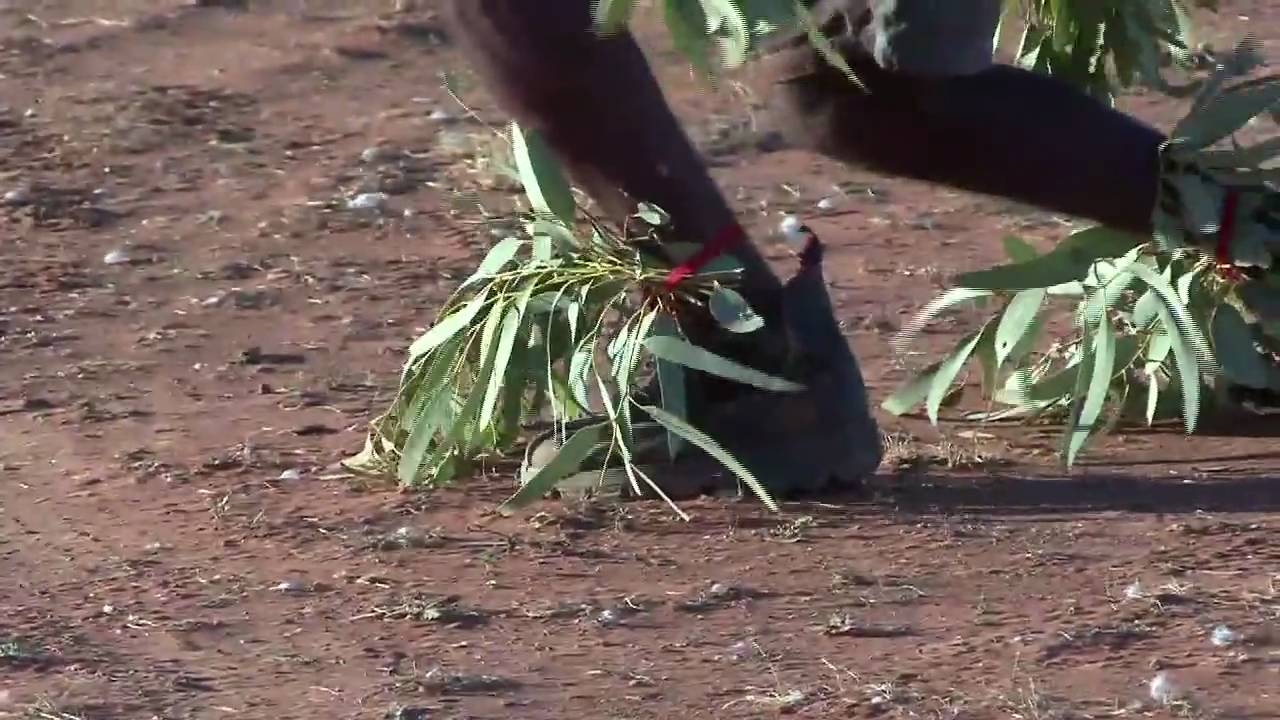 Part 5 Men's Corroboree: Opening Protest House Ampilatwatja Walk-off ...