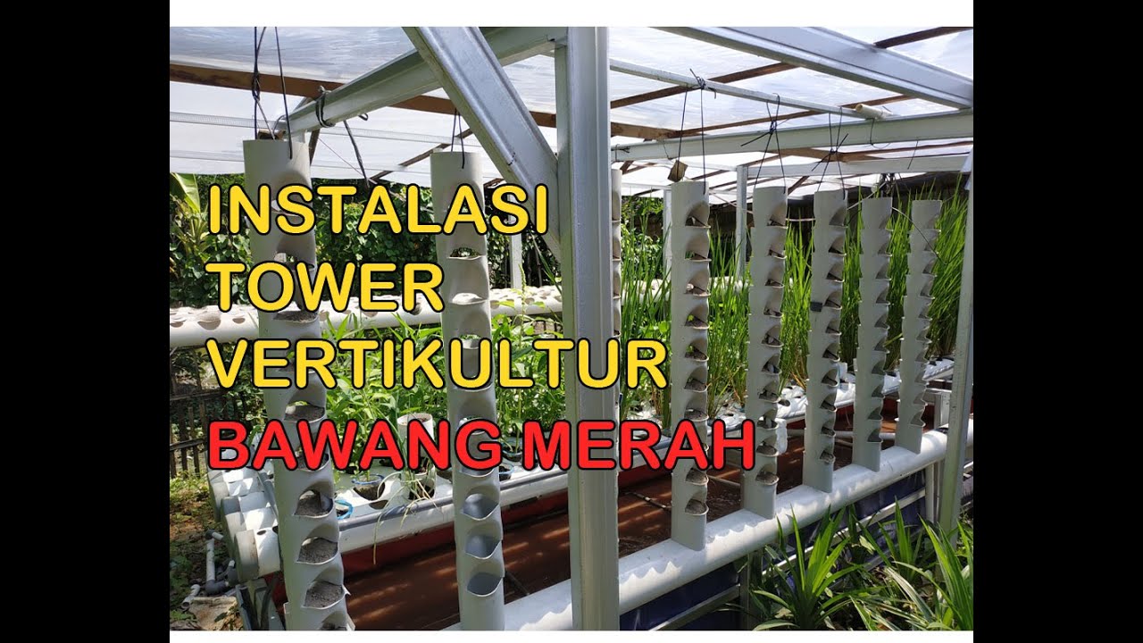 MEMBUAT INSTALASI TOWER VERTIKULTUR DENGAN PARALON UNTUK TANAMAN BAWANG ...