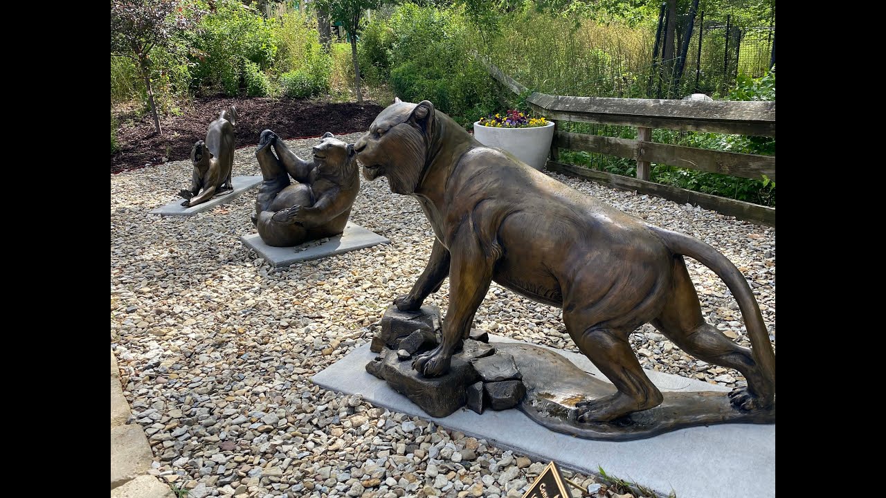 Sunset Zoo statue dedication - YouTube