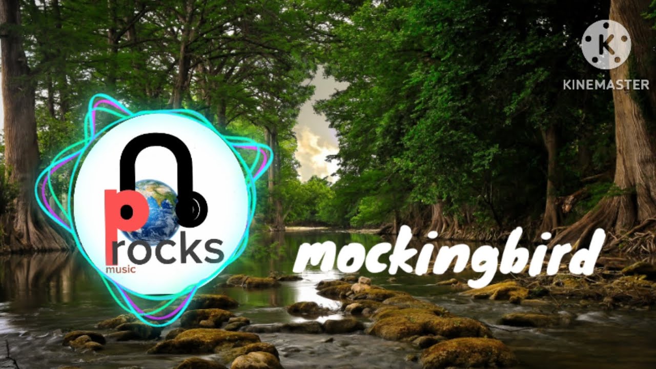 pirock and music new song mockingbird - YouTube