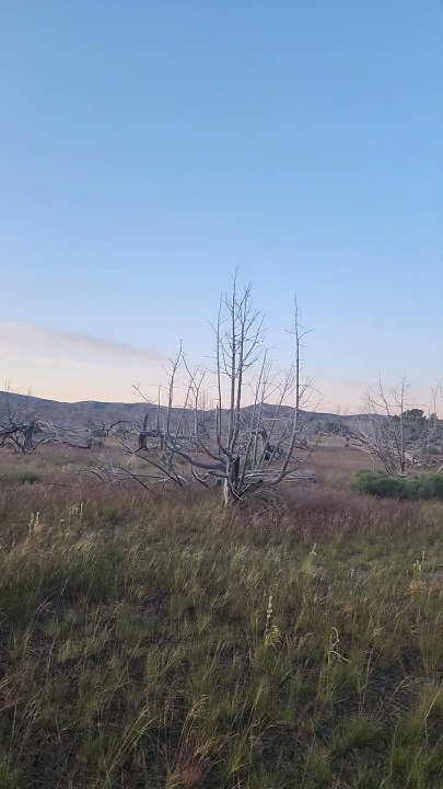 Cow Canyon Idaho Youtube