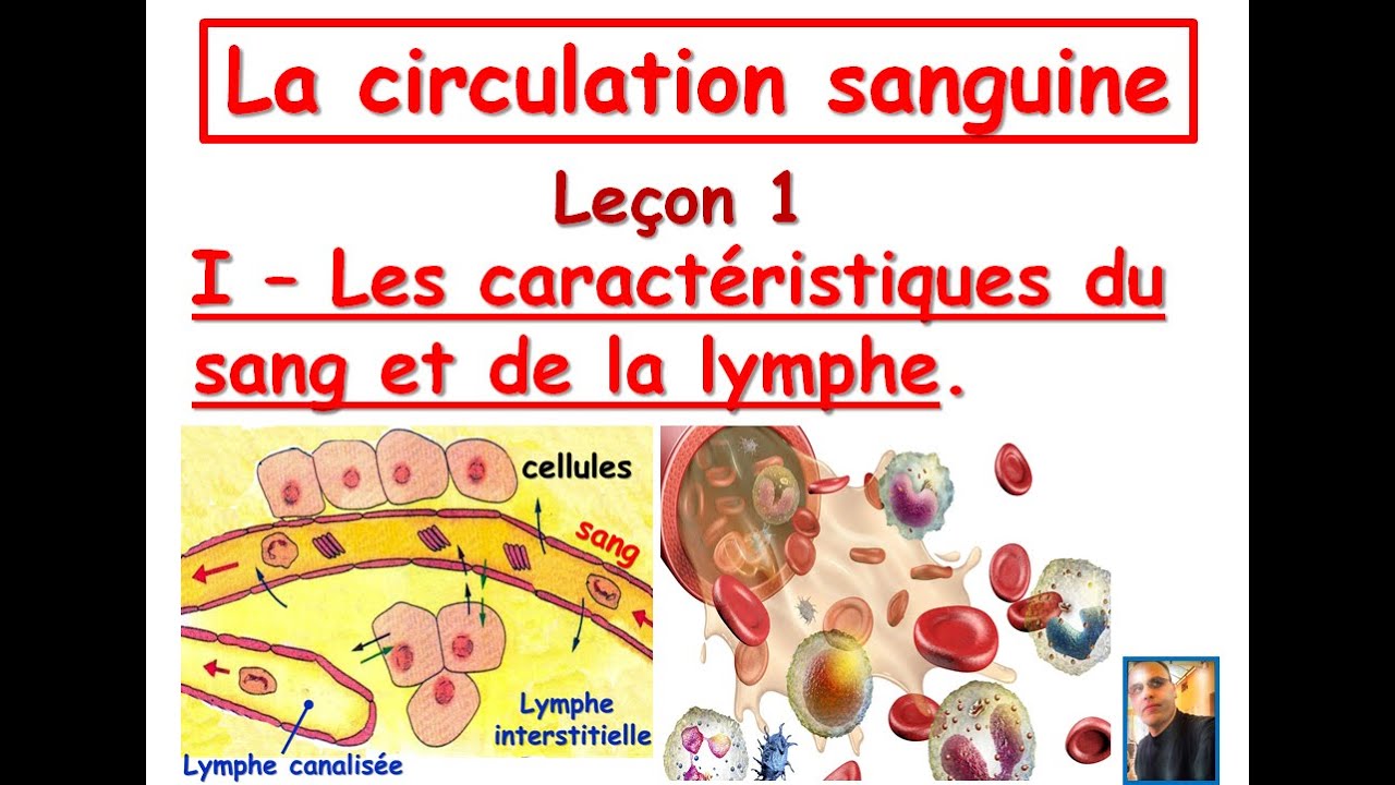 Les caractéristiques du sang et de la lymphe - YouTube