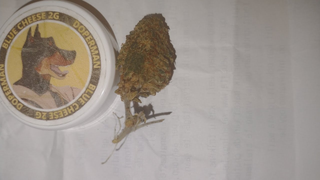 doperman blue cheese cbd hemp flower review - YouTube