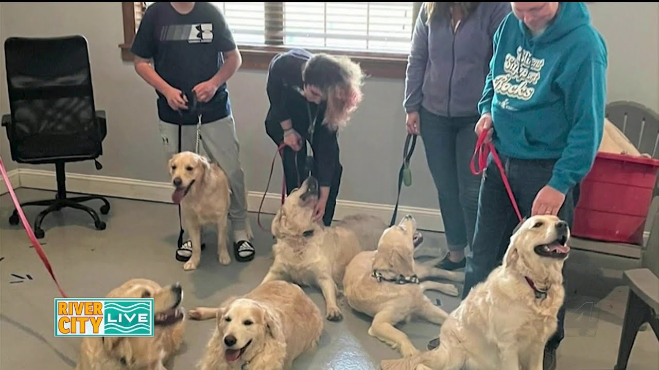 Project Chance trains goldies for youths with autism - YouTube