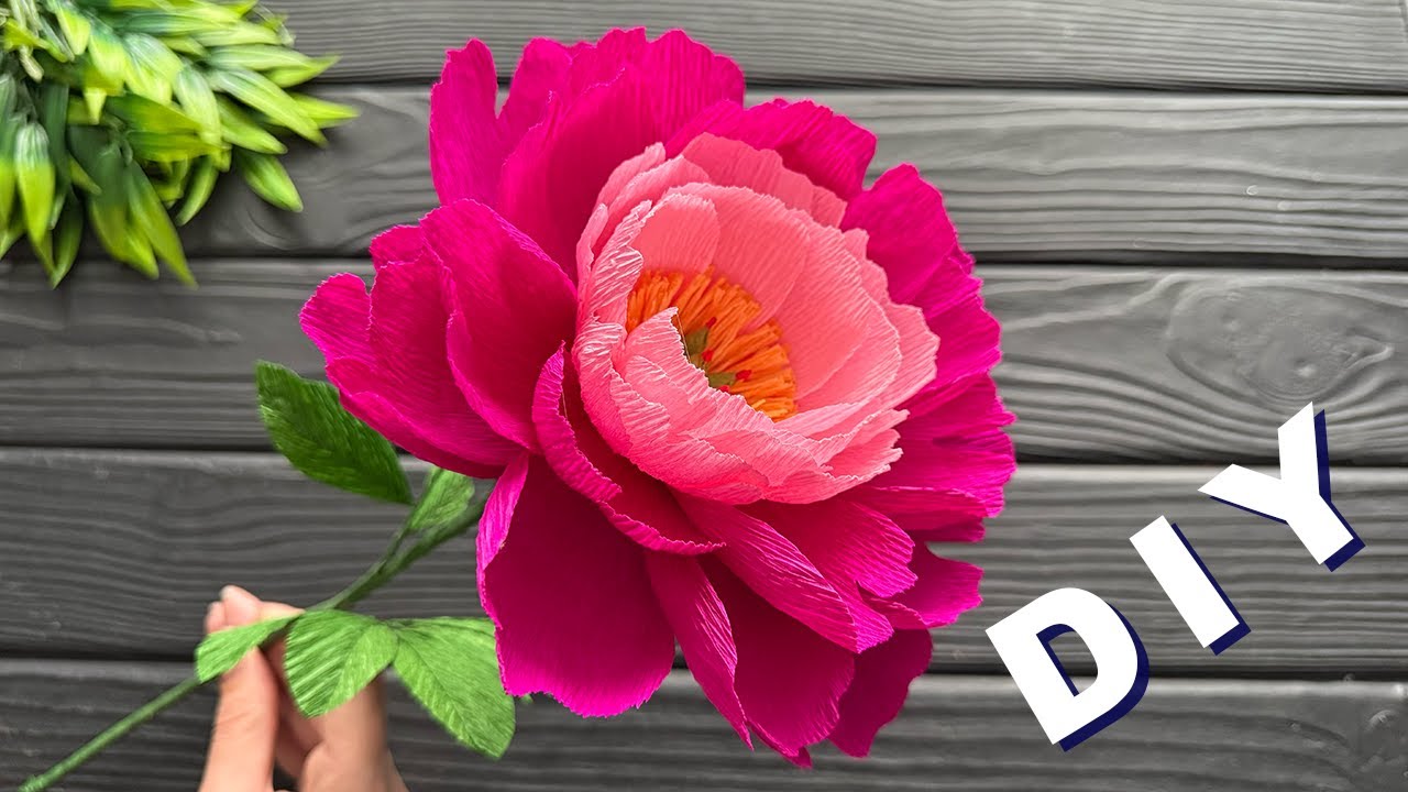 Amazing! How to Make Peony Crepe Paper Flower DIY decoration Ideas ...