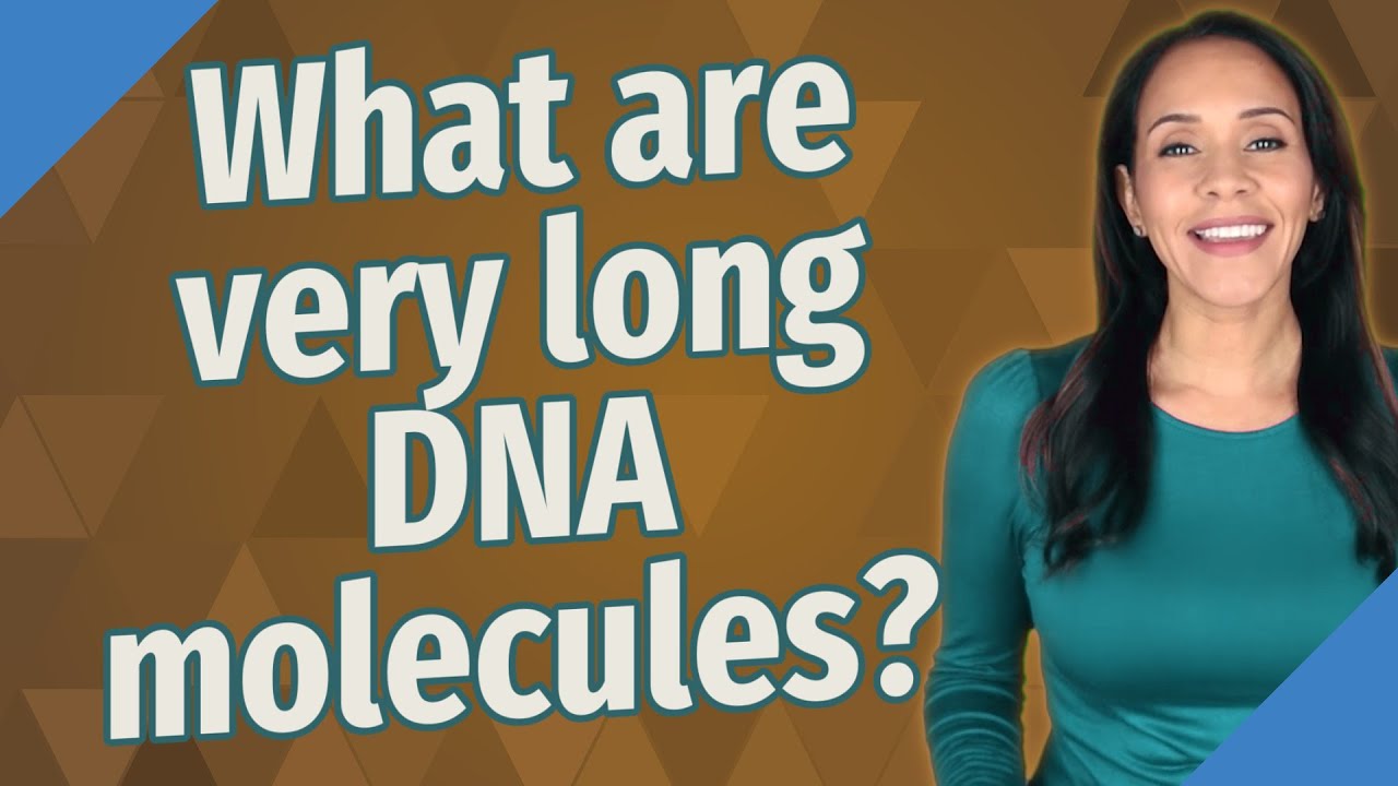 What are very long DNA molecules? - YouTube