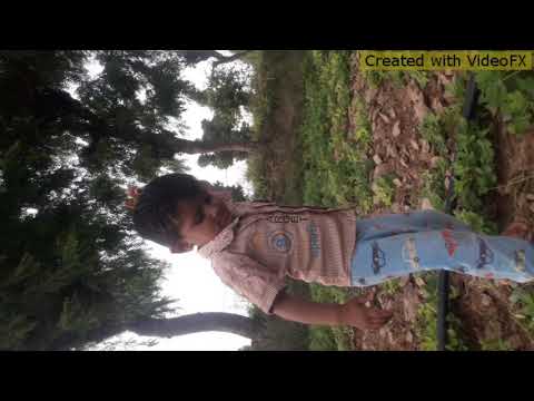 Krish paradiya