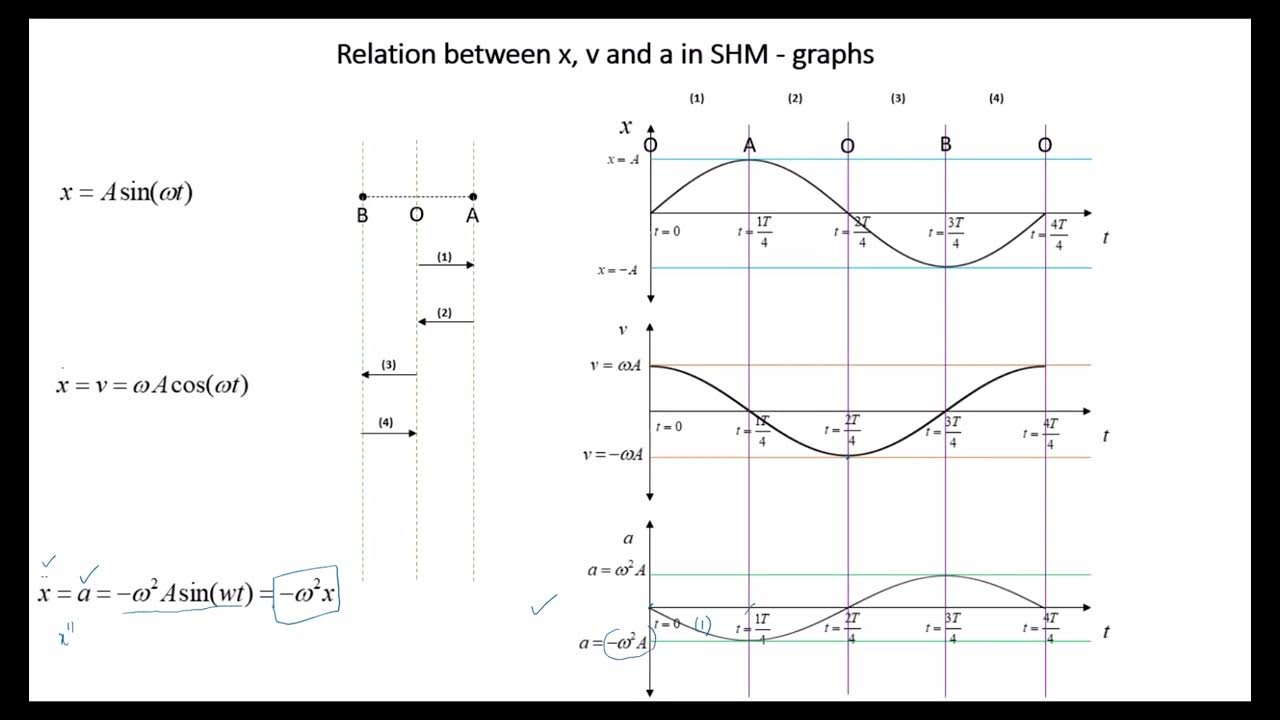 SHM - relation between displacement, velocity and acceleration explained using Graphs - YouTube