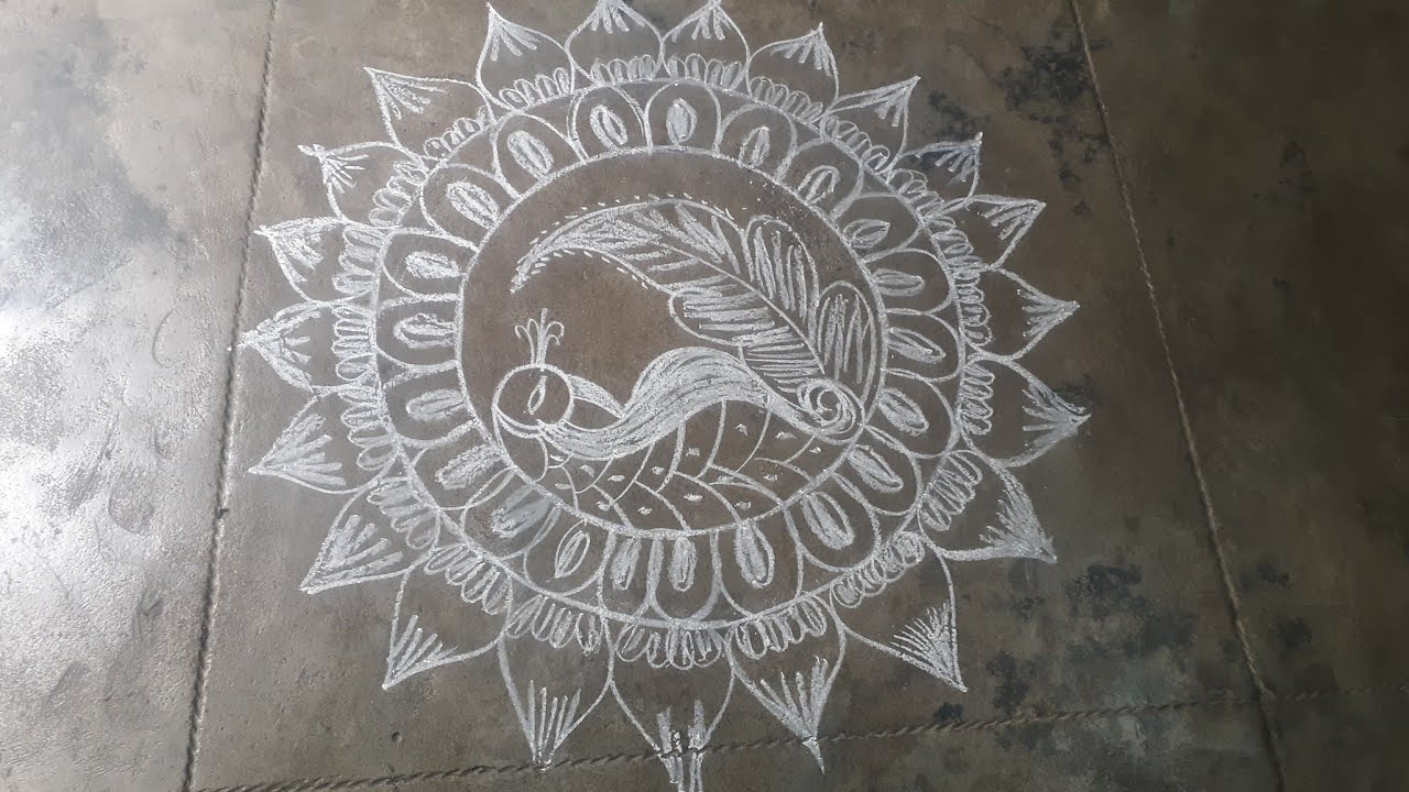 Beautiful peacock designs - YouTube