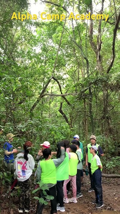 Kỹ năng sinh tồn | Rừng Mã Đà | Alpha Camps - YouTube