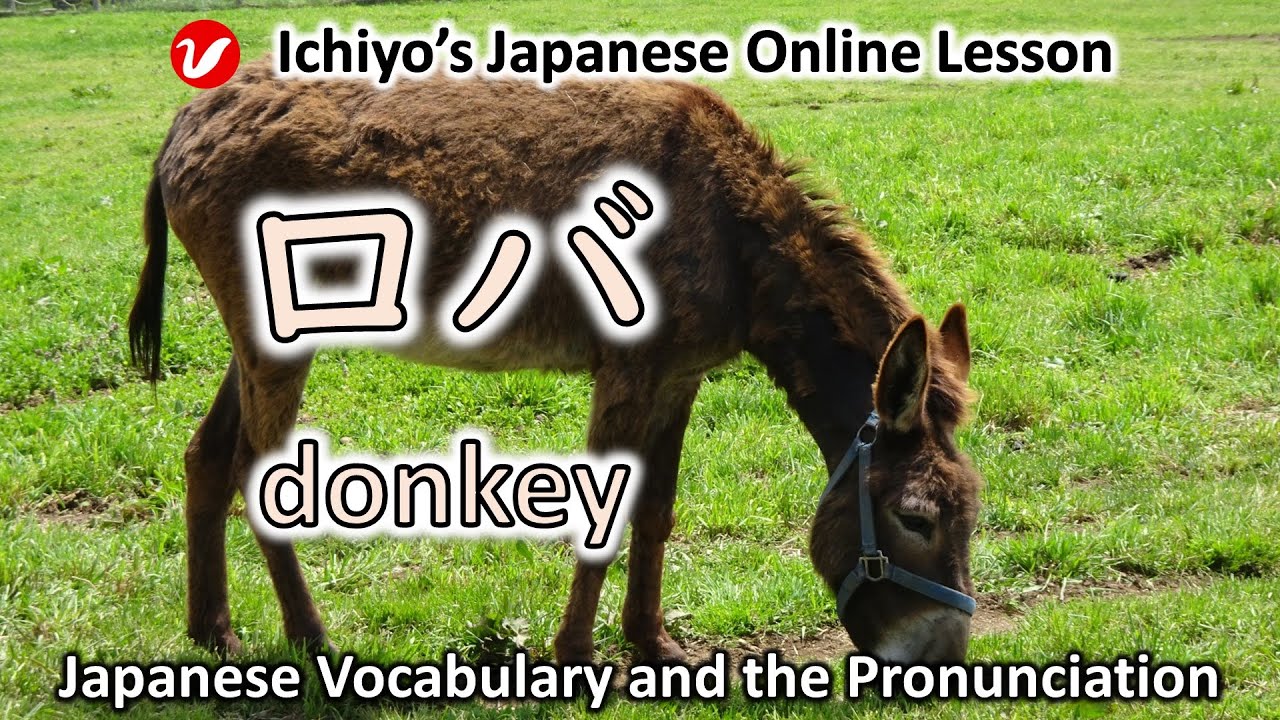 ロバ (ろば、roba) | donkey | Japanese Vocabulary and the Pronunciation - YouTube