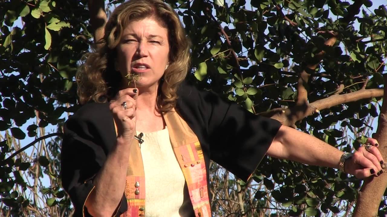 Part 3 - Juniper and Carob - Amanda McQuade Crawford - YouTube