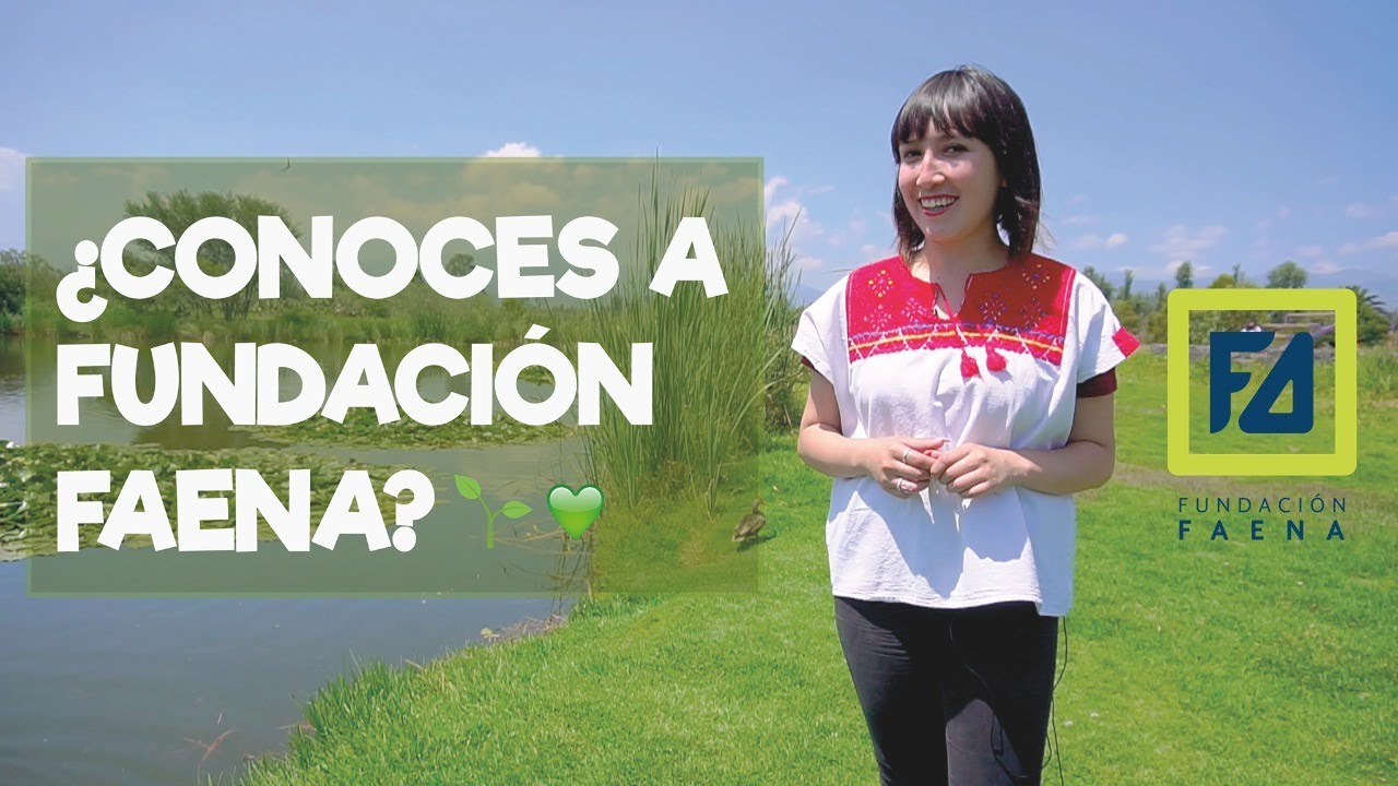 ¿Qué es y que hace Fundación Faena? - YouTube