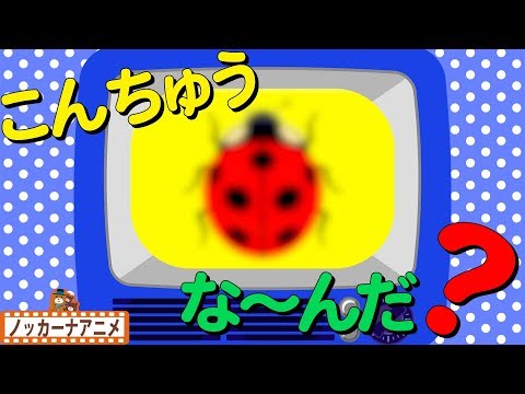 【ノッカーナアニメーション_nokkana_animation】赤ちゃん・子供向けアニメ★昆虫な～んだ？いないいないばぁっ★笑う・泣きやむ ...