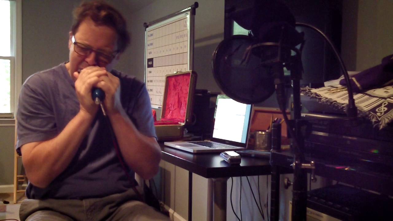 Tim Gartland Diatonic vs Chromatic Harp Sonic Contrast - YouTube