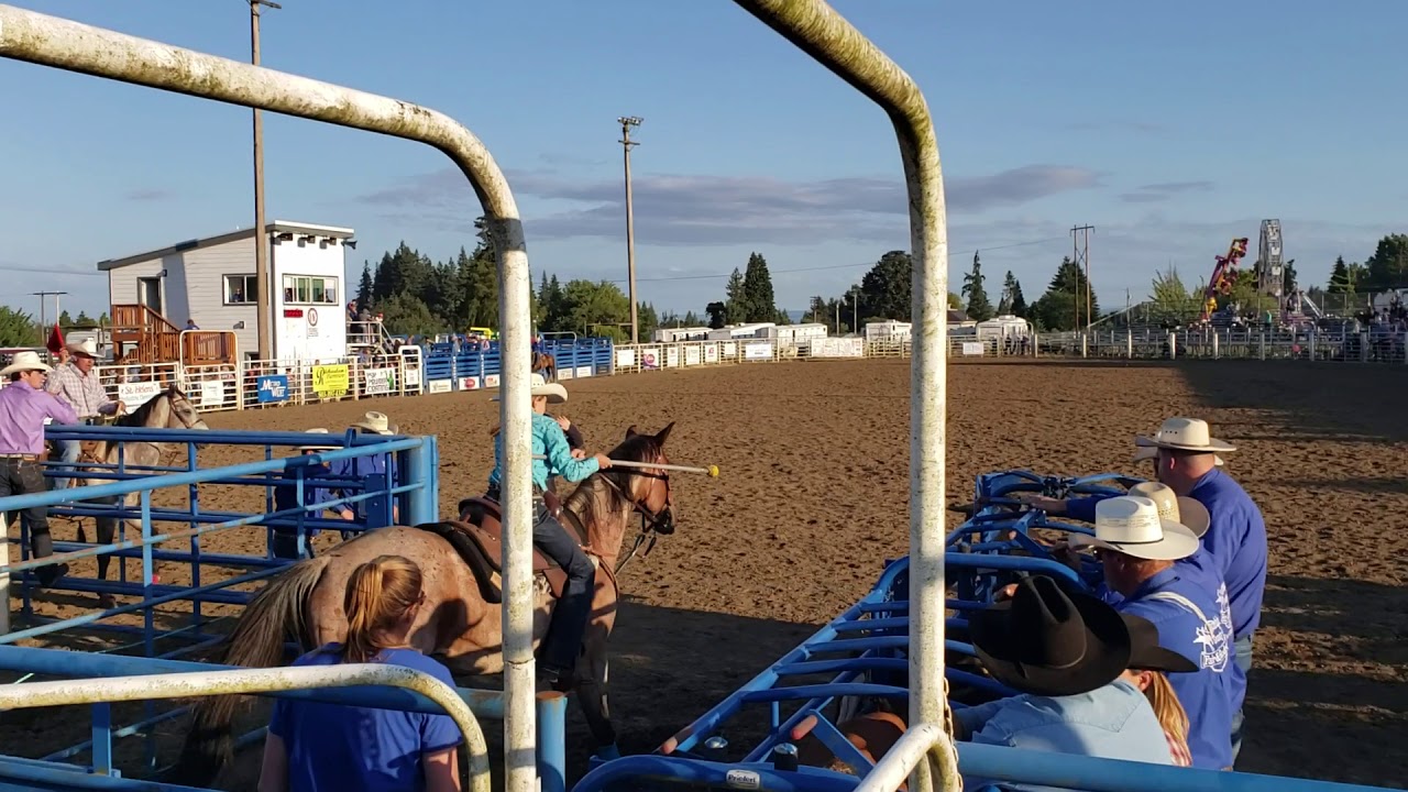 Emma steer daubing Jr rodeo 7 /2019 - YouTube
