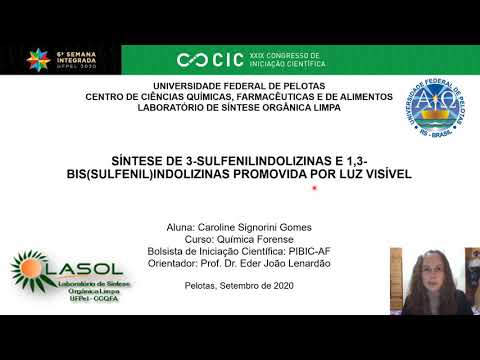 VI SIIEPE - UFPEL - CAROLINE SIGNORINI GOMES - YouTube