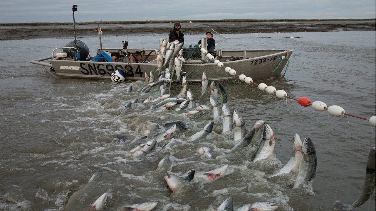 Increíble Pesca Con Red: La Mayor Pesca De Captura En El Mar Con ...