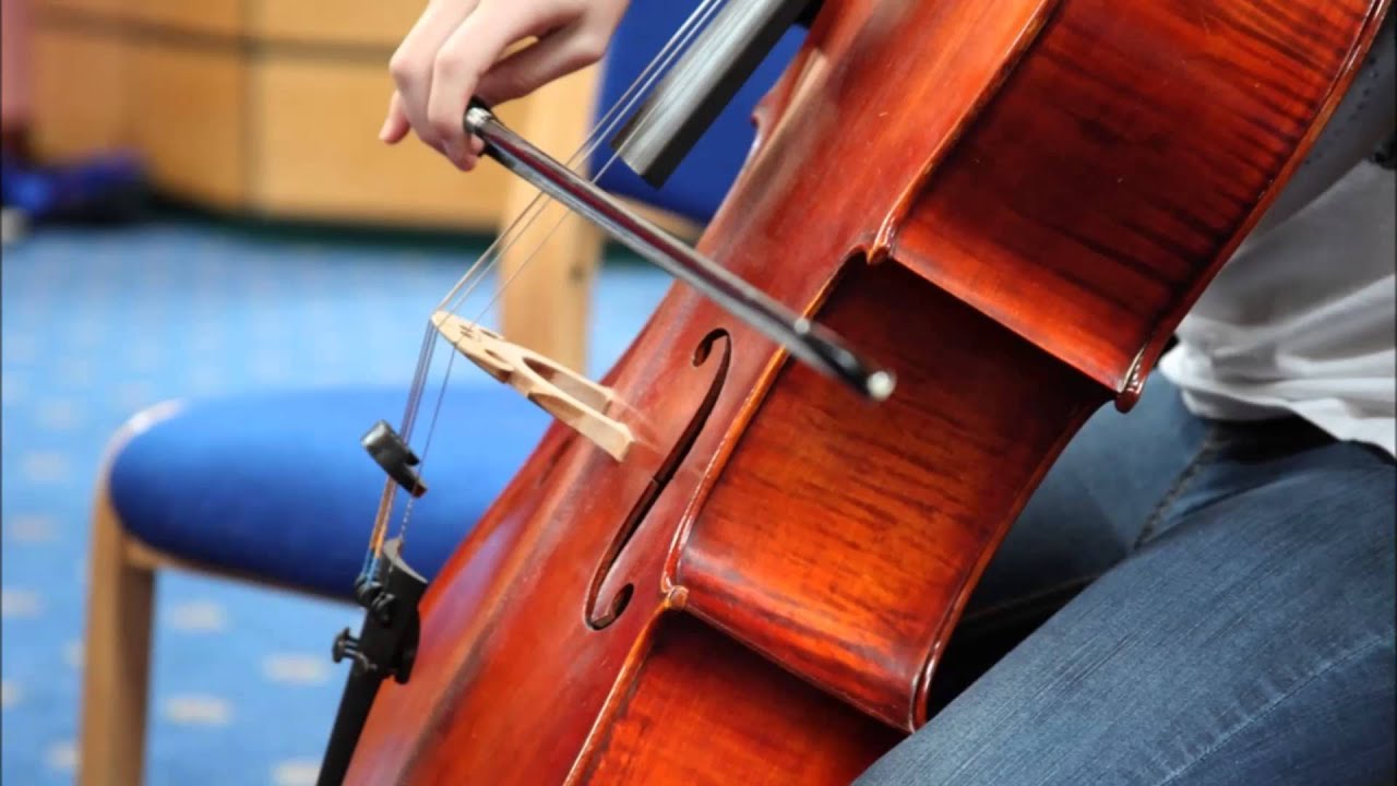 Clare Music Makers Orchestra Performing Handel Water Music Bouree - YouTube
