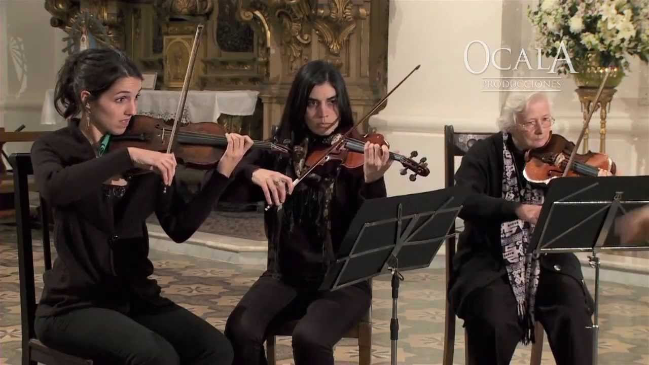 Orquesta Música Concertante de Buenos Aires - YouTube