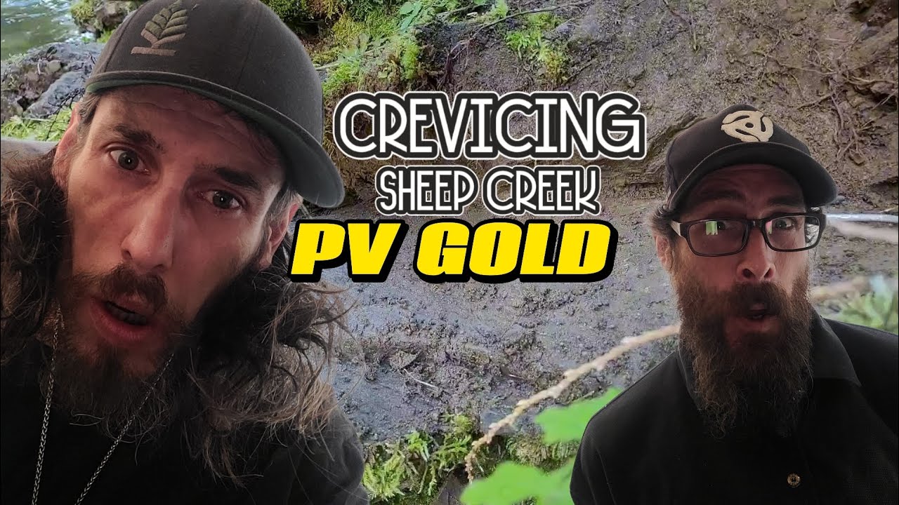[PV GOLD] CREVICING SHEEP CREEK - YouTube