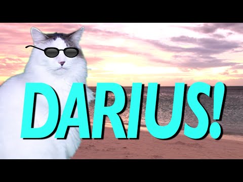 HAPPY BIRTHDAY DARIUS! - EPIC CAT Happy Birthday Song - YouTube