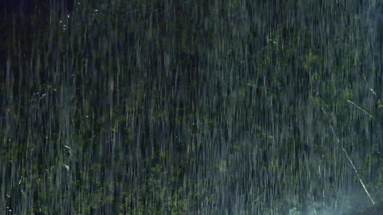 Destroy Insomnia with Heavy Rain Sounds & Thunder in Some Forest ...