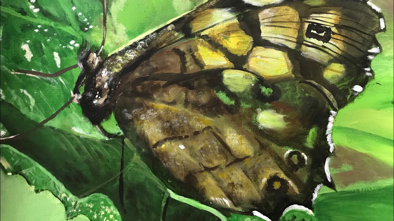 HOW TO PAINT A BUTTERFLY | ACRYLIC PAINTING | TUTORIAL | ART - YouTube