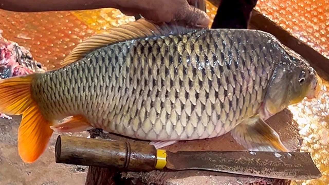 Amazing Cutting Skills | Incredible Big Carp Fish Cutting By Expert ...