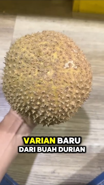 DURIAN TANPA DURI ATAU DURIAN GUNDUL #durian - YouTube