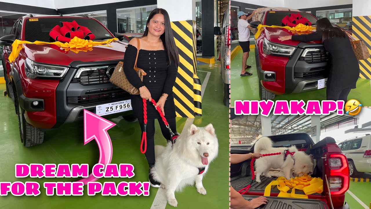 Welcome Our Newest Member Of The Fam! | NEW CAR FOR THE PACK! | Husky ...