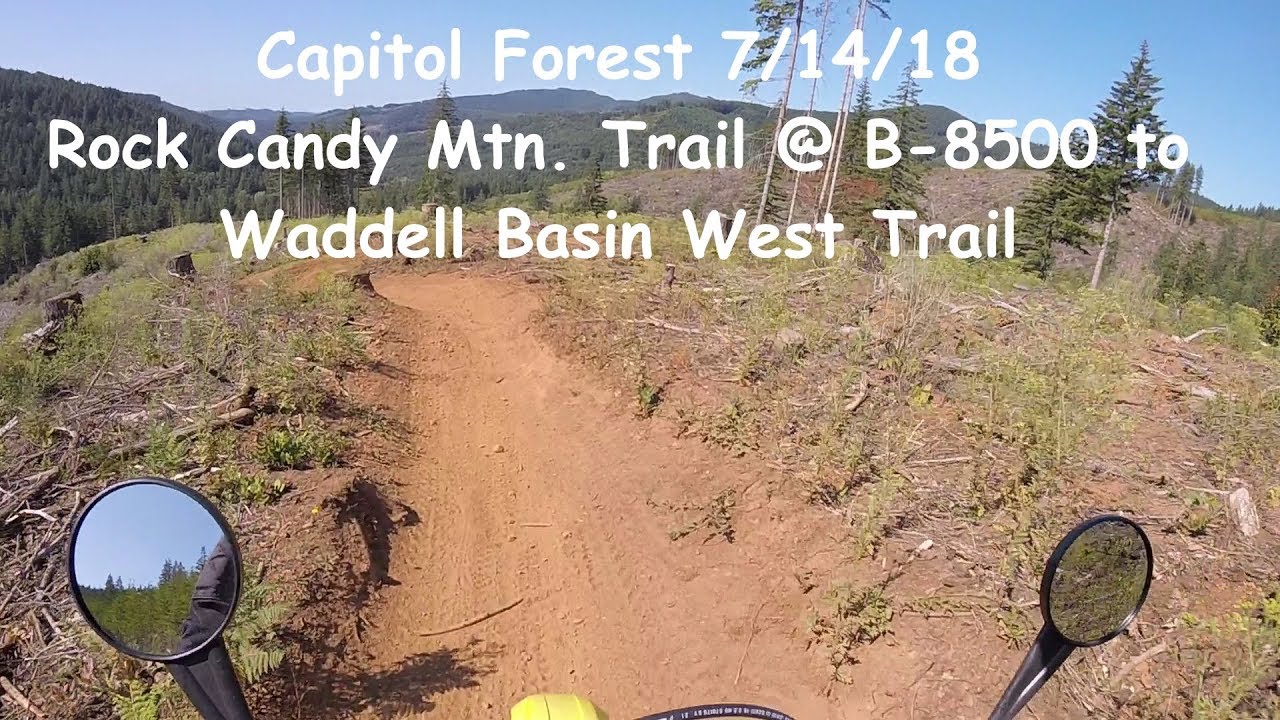 Capitol Forest - Rock Candy Trail 7-14-18 - YouTube