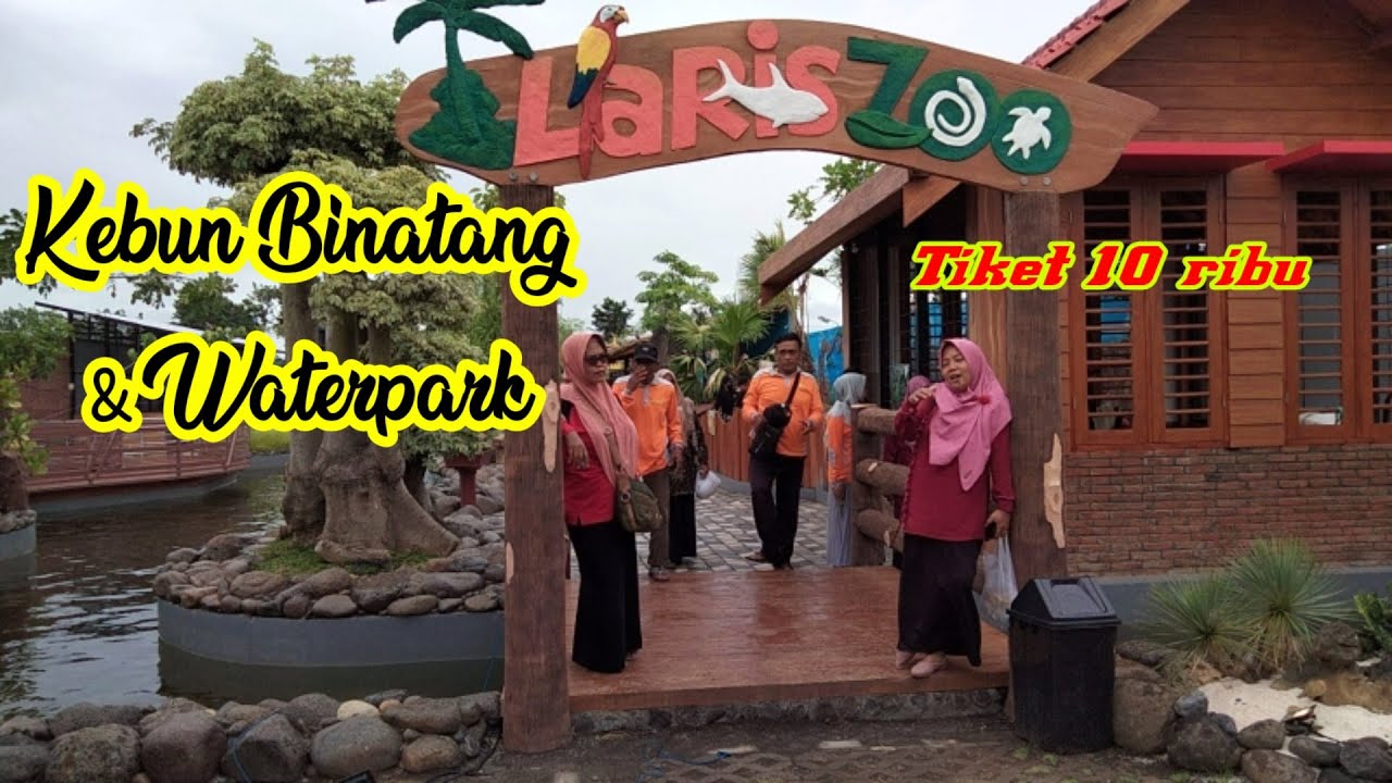 LARISZOOO... Kebun Binatang & WaterPark Tiket 10 Ribu di Kencong Jember ...
