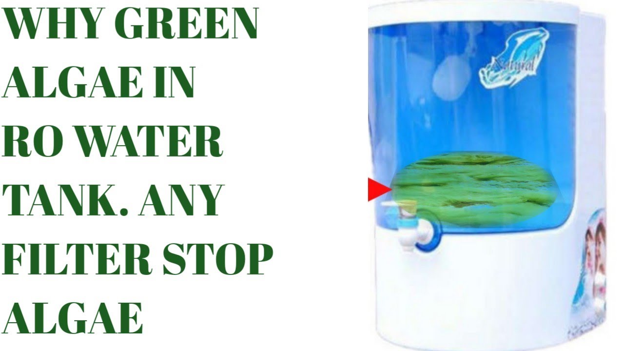 WHY GREEN ALGAE PRODUCE IN RO WATER. - YouTube