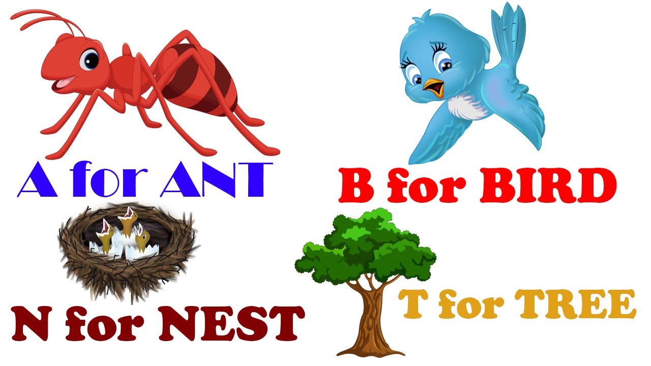 English Alphabet | Alphabet with Examples | Learn Alphabet A to Z ...