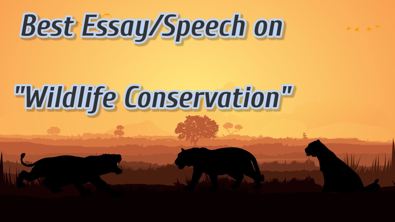 Best Essay/Speech on Wildlife Conservation| Wildlife Conservation Essay ...
