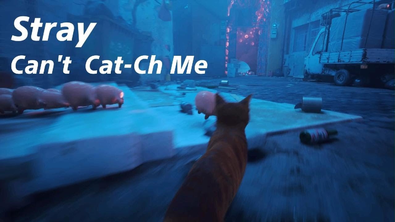 Stray: Can't Cat-Ch Me Trophy - YouTube