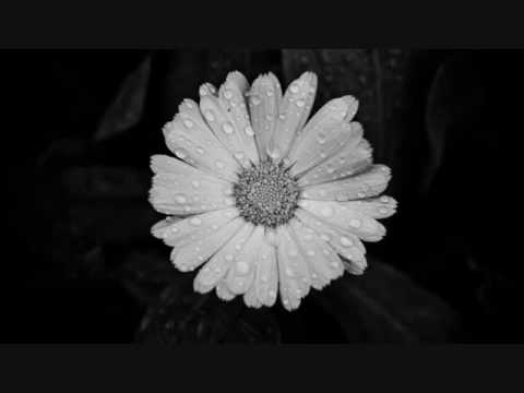 ALDIRMA GÖNÜL ALDIRMA AKUSTİK GİTAR