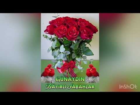 GÜNAYDIN MESAJLARI | HAYIRLI SABAHLAR | EN YENİ GÜNAYDIN MESAJLARI | whatsapp için durum videosu