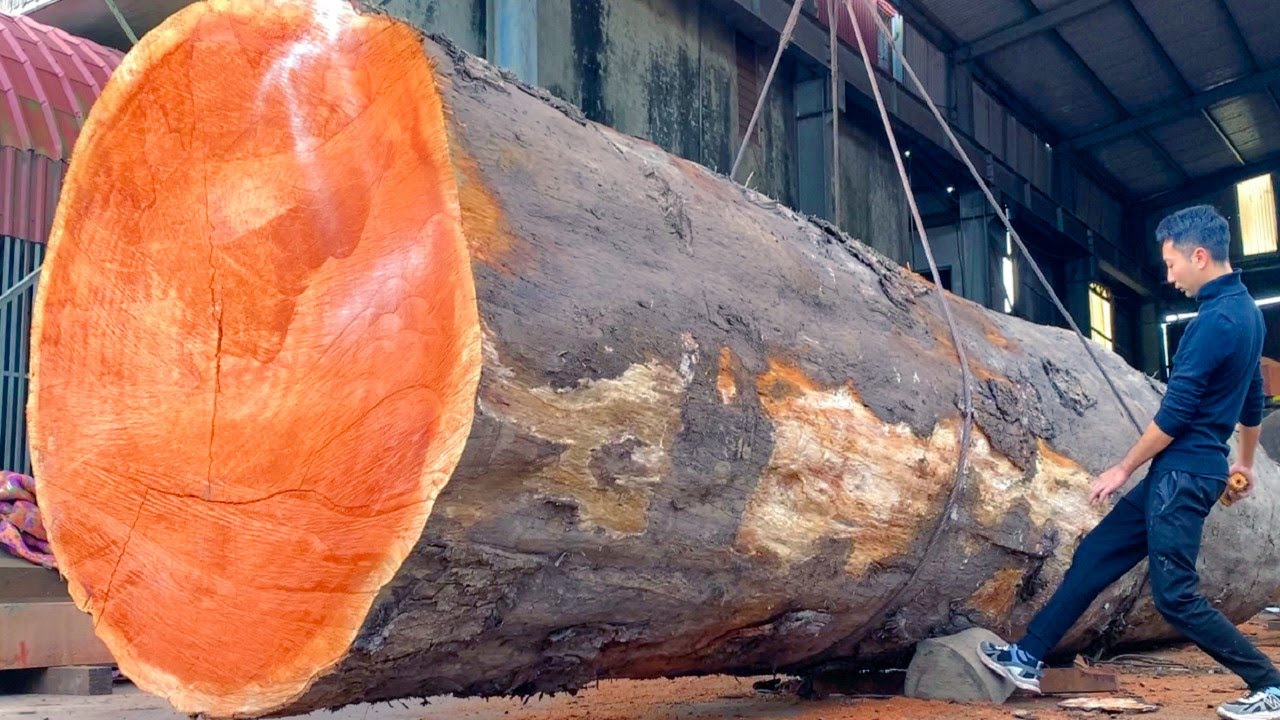 Genius At Work Is Endless - Special Huge Wood Full Of Secrets Appears ...