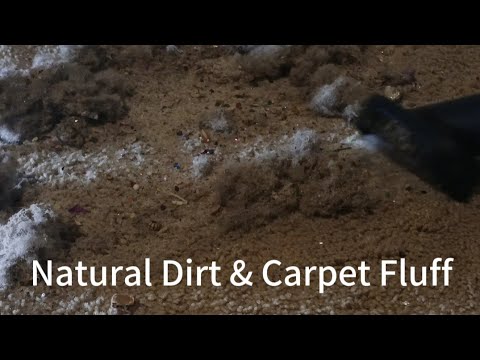 Fine Dirt and Carpet Fluff ️ Eureka Vacuum ️ Short Clip🤤 - YouTube
