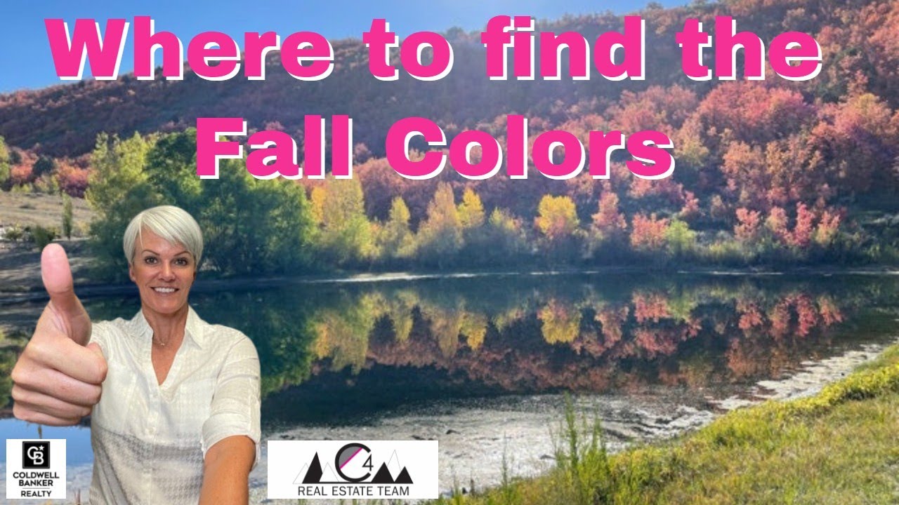 Hikes Near Ogden Utah: Where to Find the Fall Colors - YouTube