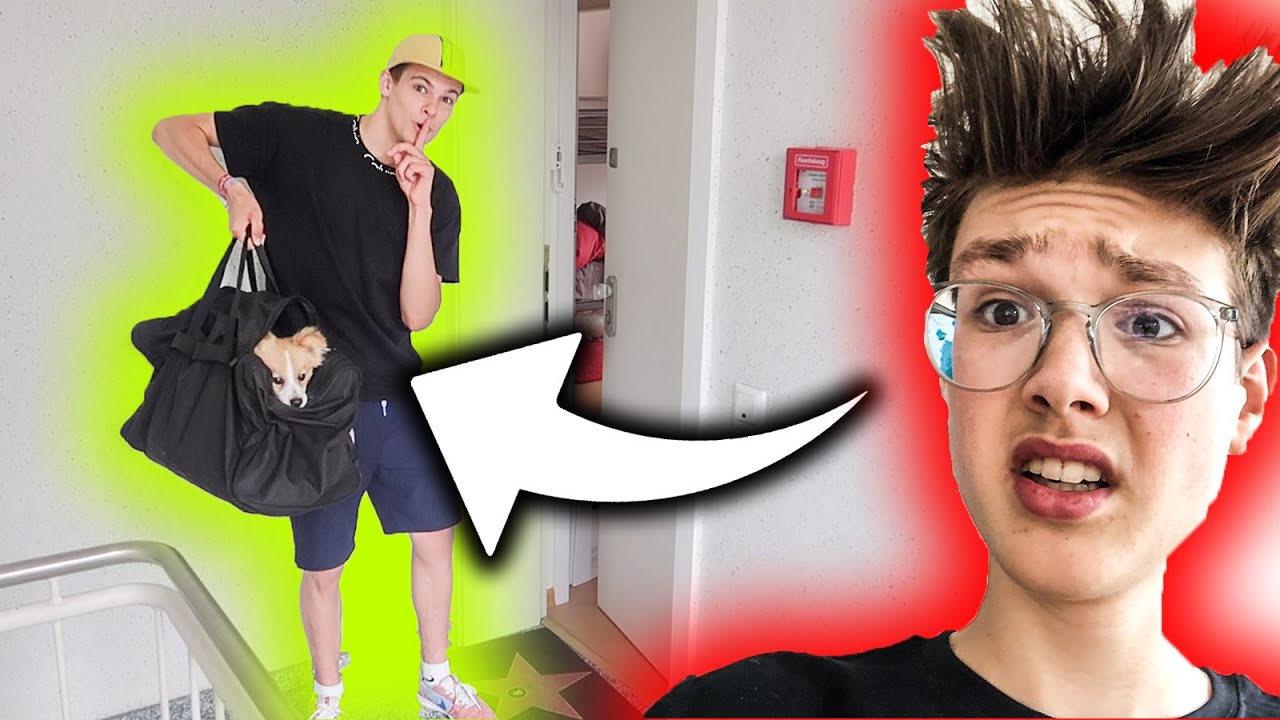 Er hat meinen HUND Flash ENTFÜHRT! - YouTube