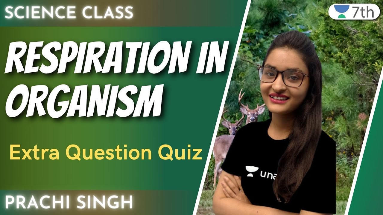 Respiration in Organism | Extra Question Quiz | Science | Class 7 | Prachi Singh - YouTube