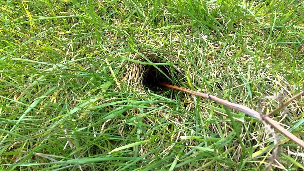 Interesting wind hole. - YouTube