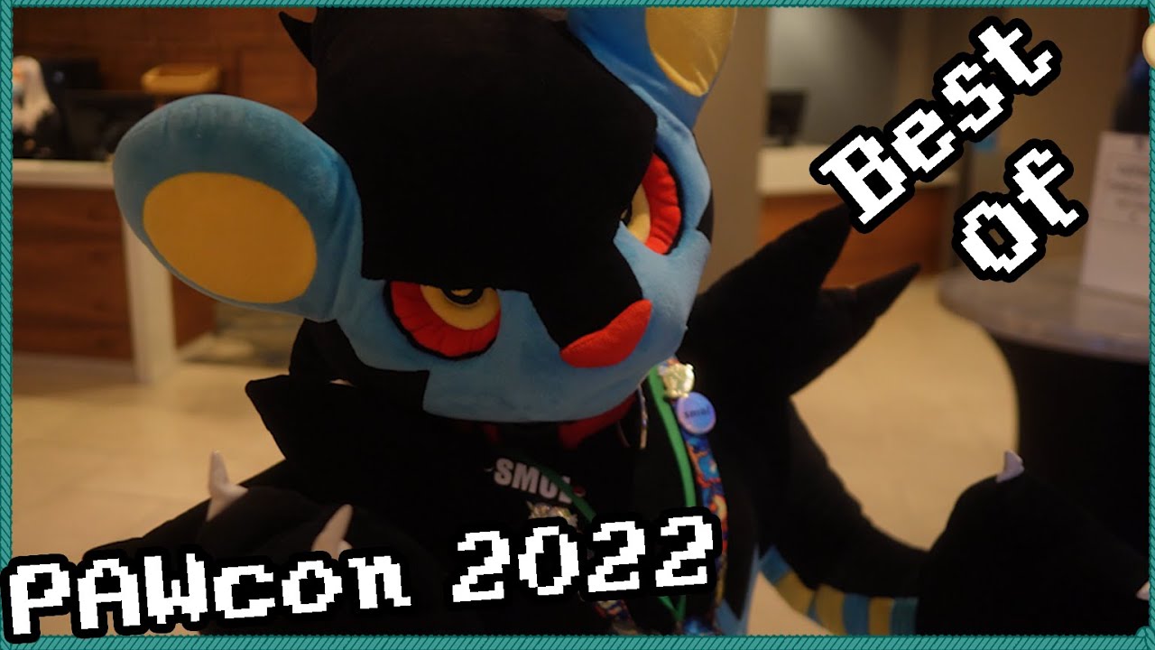 [4k] Best Fursuits of PAWcon 2022 Day 2 - YouTube