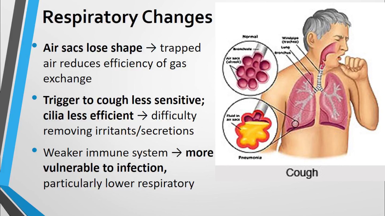 Assessment of Cardiovascular and Respiratory Systems Recording - YouTube