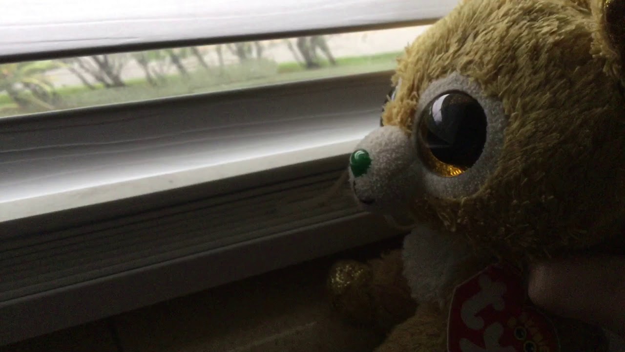 Beanie boos music videos Someone you loved - YouTube